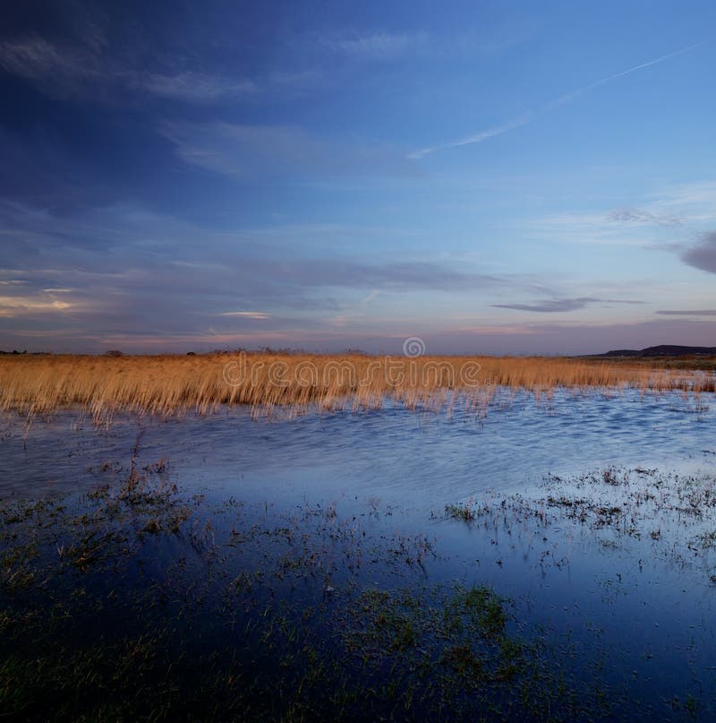 Lake on a Windy Day at Down Stock Photo - Image of atmosphere ...
