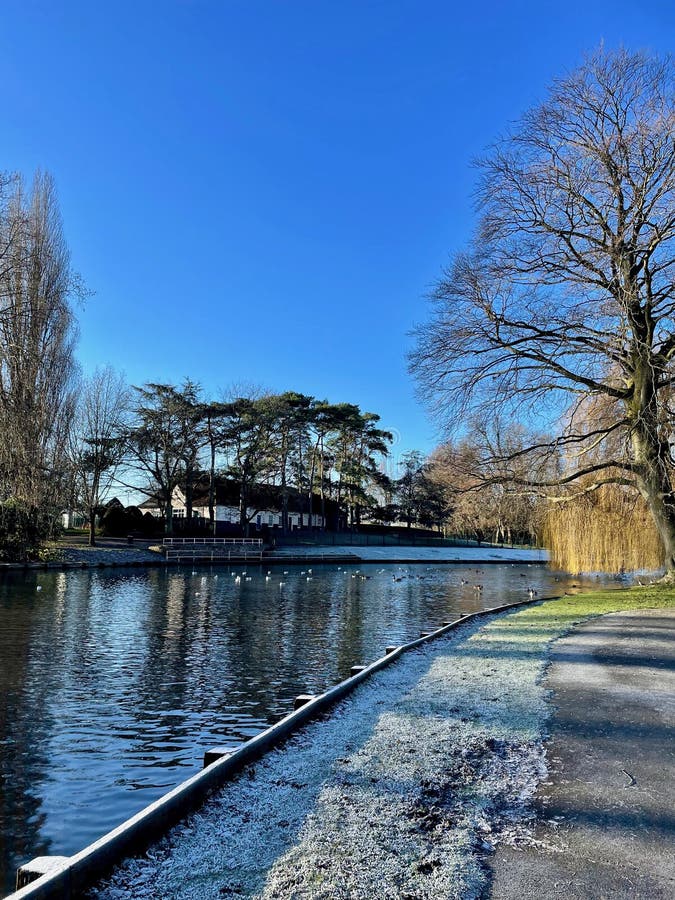 Lake in winter sunshine stock photo. Image of leaf, summer - 267343220