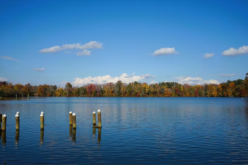 Lake in the Woods on a Fall Day. Stock Photo - Image of fall, horizon ...