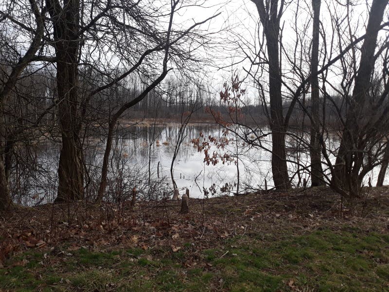 Lake in the Woods. Vienna, Ohio Stock Image - Image of woods, scenery ...