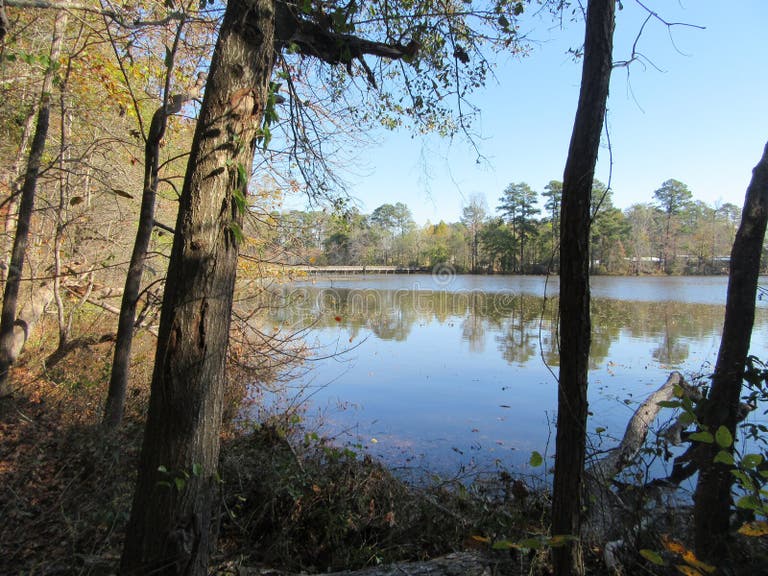 Lake at Yates Mill stock image. Image of river, landscape - 261632593