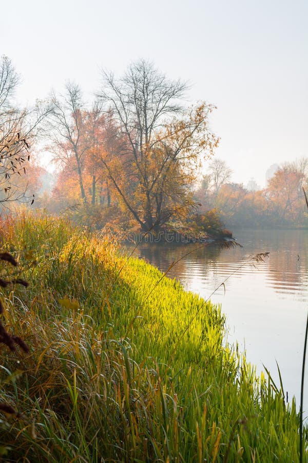 Lakefront autumn stock photo. Image of bush, multi, foliage - 75697776