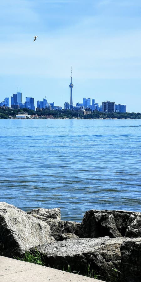 Lakefront Toronto CN Tower editorial stock photo. Image of boat - 229363308