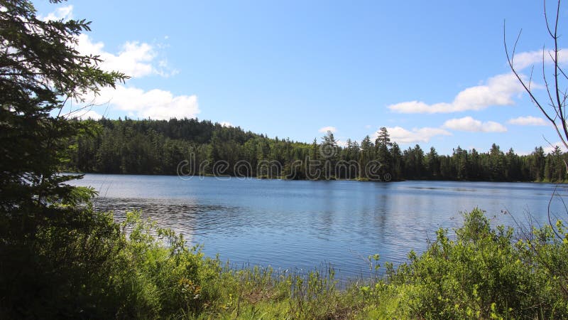Lakefront view stock image. Image of lakefront, peaceful - 80387769