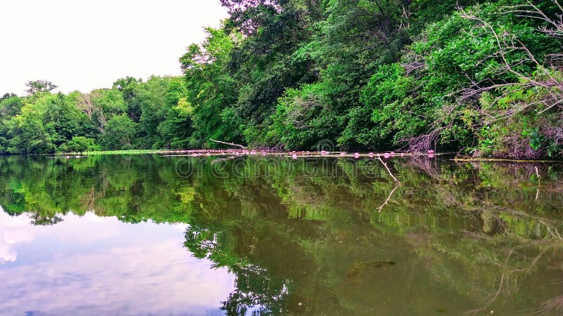 Lakes stock image. Image of reflection, bank, lakes, swamp - 94928005