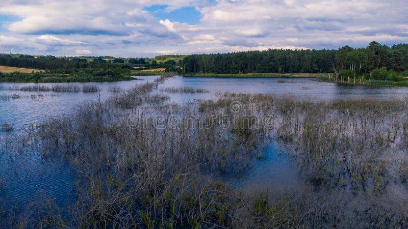 Lakes and Fields in Summer from Above Stock Image - Image of ...
