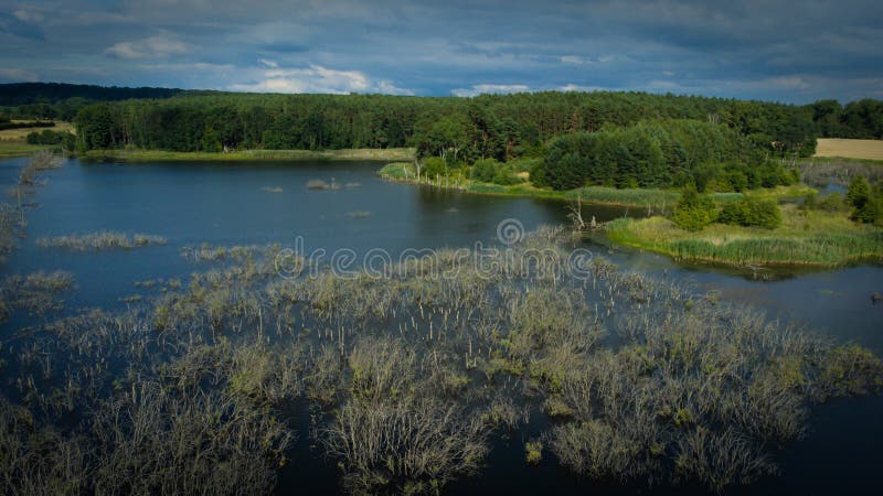 Lakes and Fields in Summer from Above Stock Image - Image of scenery ...