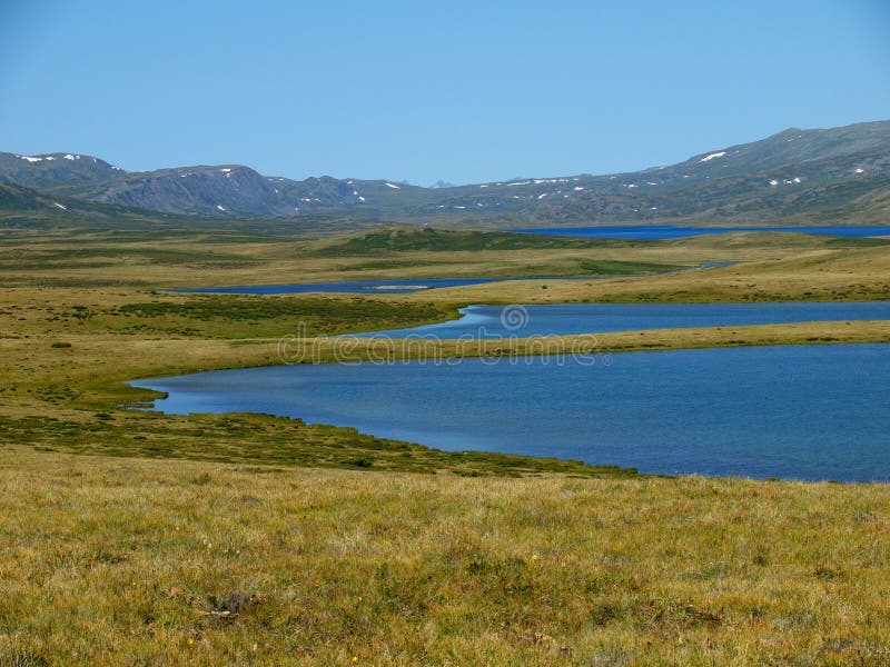 Lakes of Plateau Ukok, Mountain Altai Stock Image - Image of exotic ...
