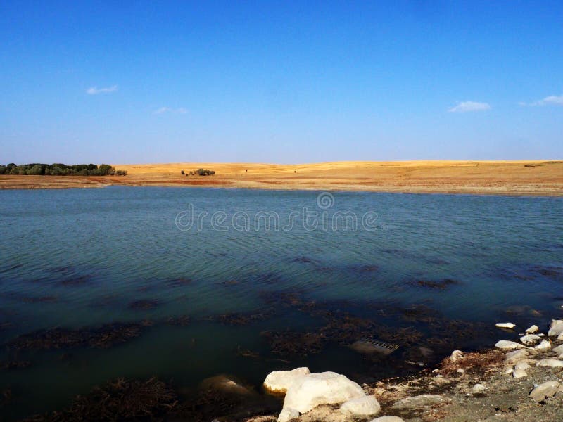 Lakes with Reduced Water Levels in Summer, Global Warming and Drought ...