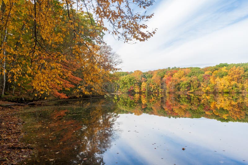 Lakeshore on a fall day stock photo. Image of blue, colors - 165388336
