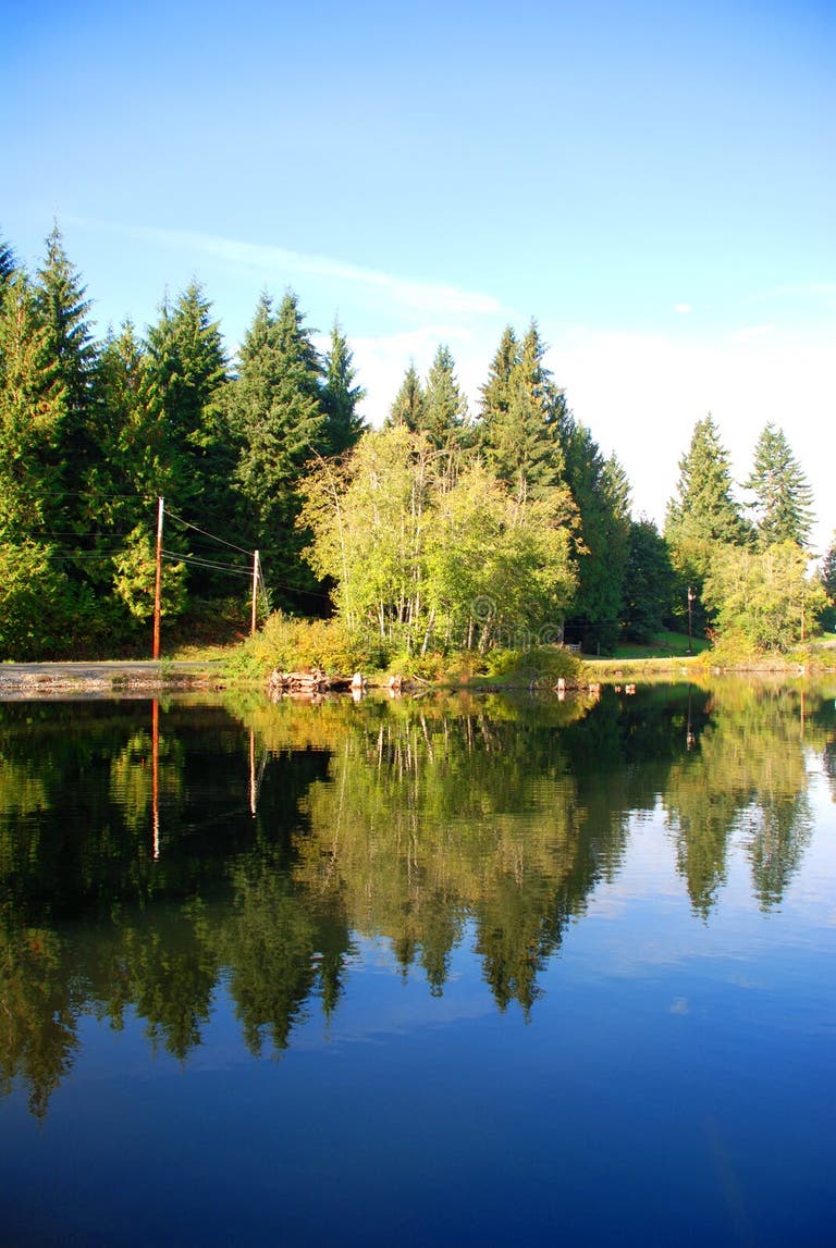 22,293 Lakeside View Forest Stock Photos - Free & Royalty-Free Stock ...