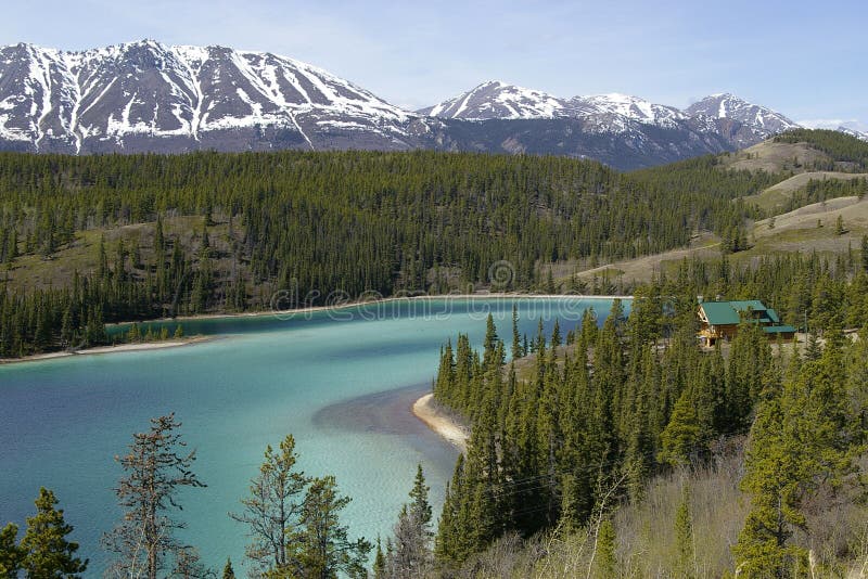 Lakeside stock photo. Image of carcross, blue, lake, trees - 8774910
