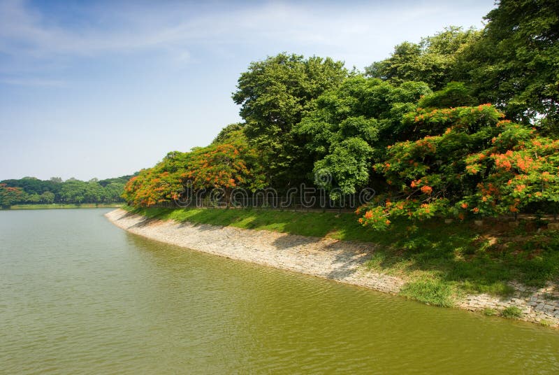 Lakeside stock image. Image of spring, quiet, tree, pond - 9651031