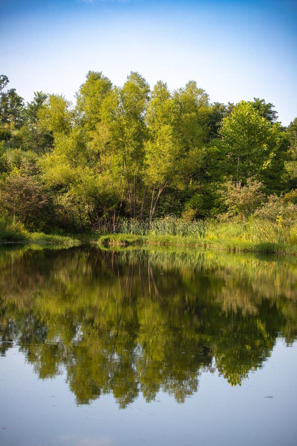 Lakeside Afternoon of Quiet Reflection Stock Photo - Image of green ...