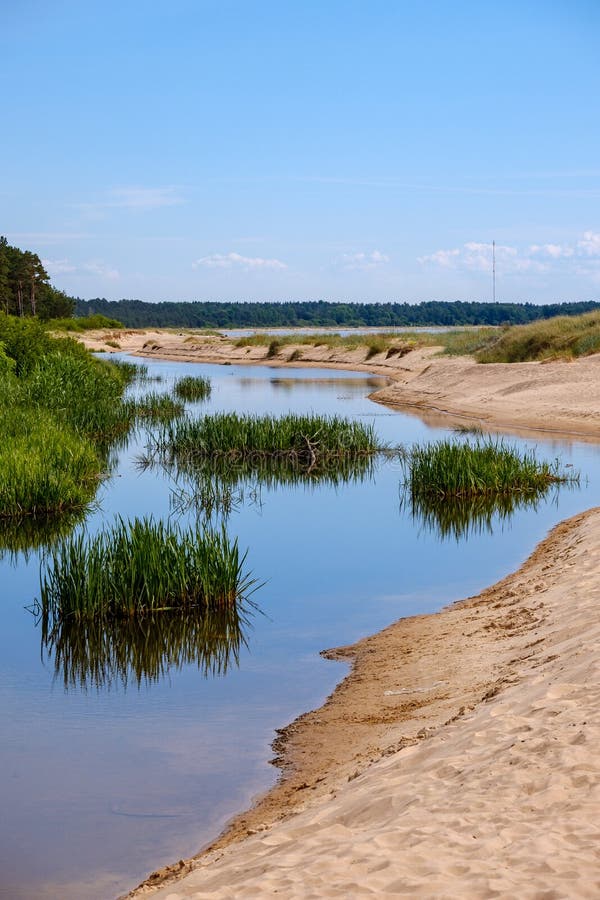 Lakeside Beach Details with Sand, Rocks and Blur Background Stock Photo ...