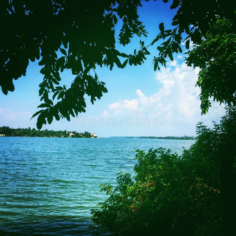 Lakeside stock image. Image of trees, lake, water, lakeside - 105089313