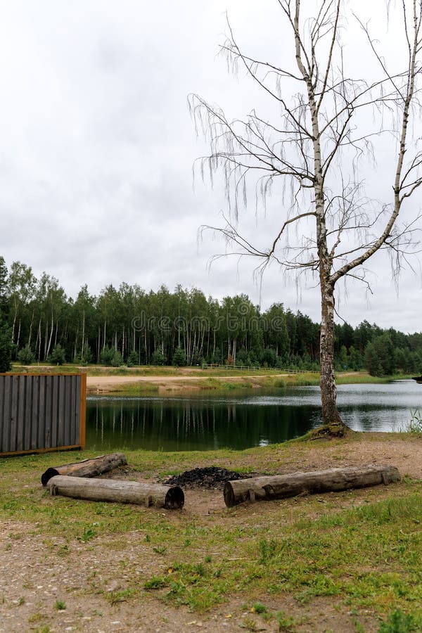 Lakeside Campfire Spot with Bare Tree Stock Image - Image of lake ...