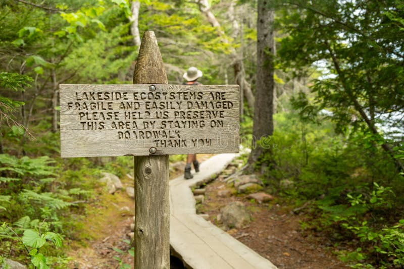 Lakeside Ecosystem Sign Along Eagle Lake Editorial Photography - Image ...