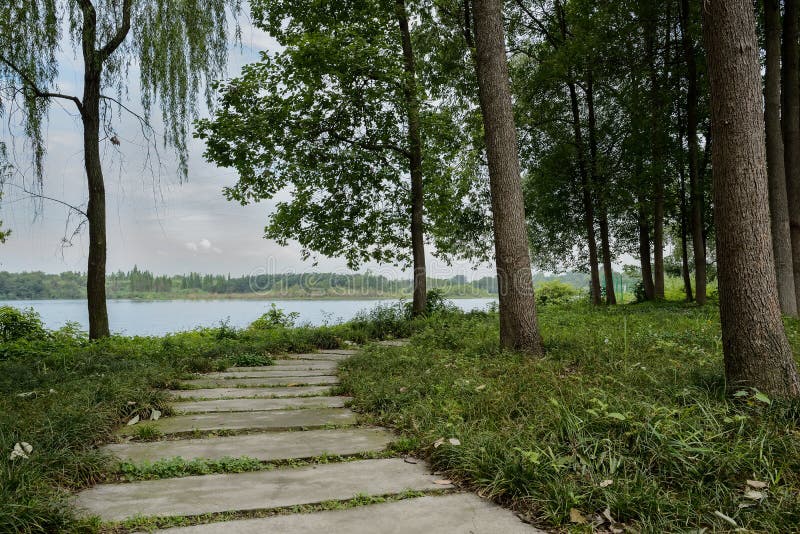 Lakeside Flagstone Path in Trees on Cloudy Summer Day Stock Photo ...