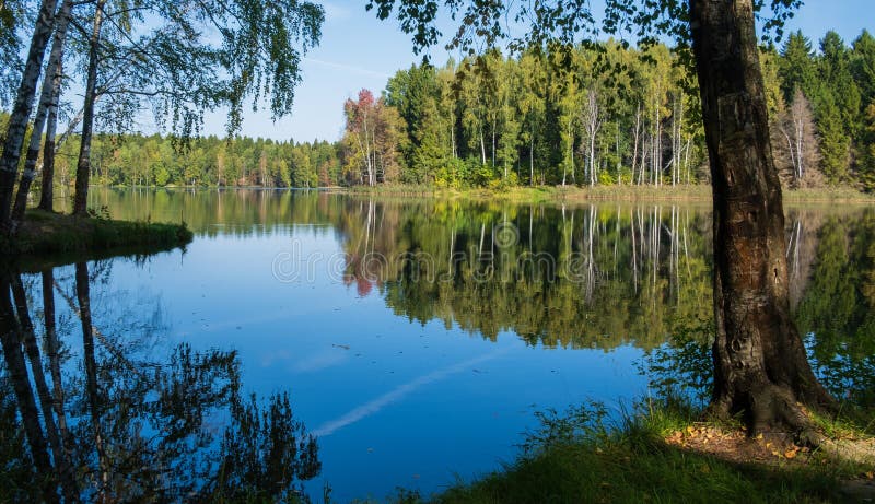 Lakeside in the forest stock image. Image of beautiful - 157650825