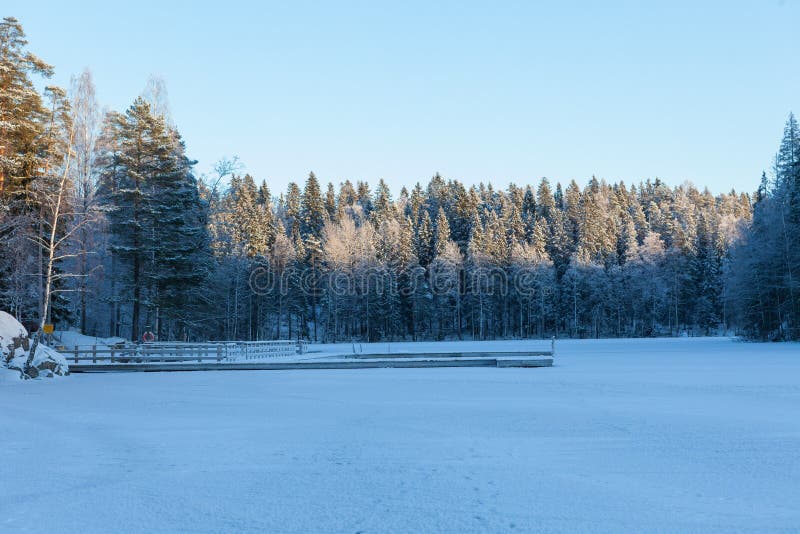 Lakeside Forest Half in Sunlight Stock Image - Image of nature, frost ...