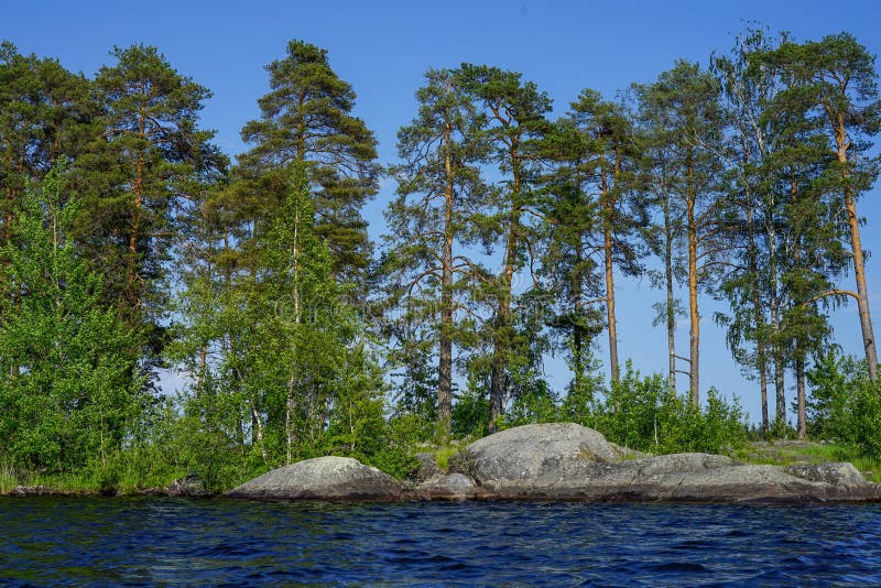 Lakeside Forest Scene Under a Clear Blue Sky Stock Image - Image of ...