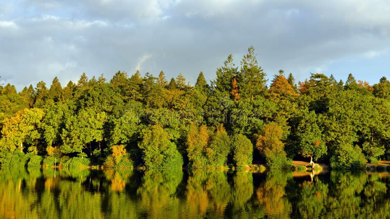 Lakeside Forest stock photo. Image of lakeside, cloudy - 85756302
