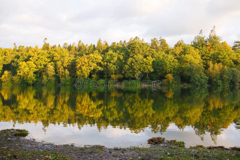 Lakeside Woodland stock image. Image of forest, foliage - 106834163