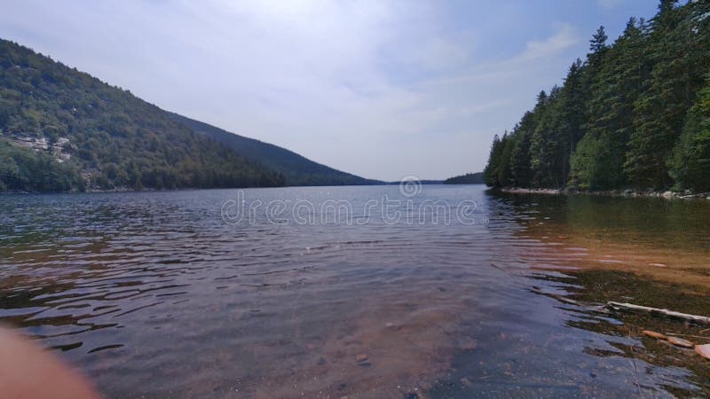 Lakeside Forest Trail stock image. Image of reflection - 227232849