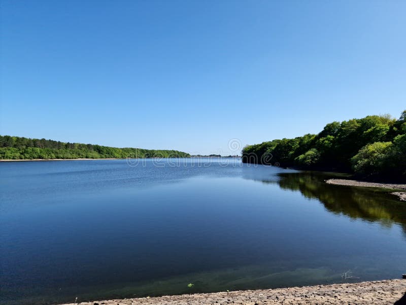 Lakeside stock image. Image of trees, side, views, lakeside - 247361325