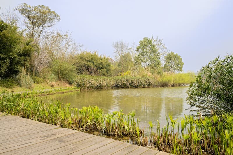Lakeside Planked Path in Sunny Spring Stock Photo - Image of lake ...