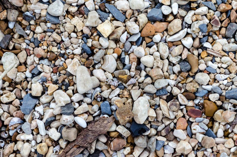 Lakeside rocks and shells stock image. Image of river - 95734857
