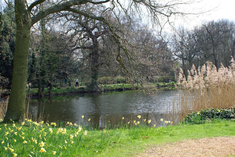 Lakeside Scene in Spring Season, England Stock Photo - Image of nature ...