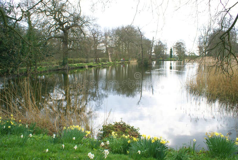 Lakeside Scene in Spring Season, England Stock Photo - Image of nature ...