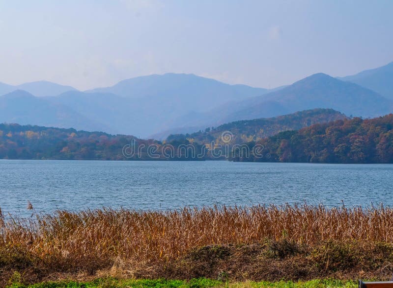 Lakeside Scenery with Silver Grass and Mountain Stock Photo - Image of ...
