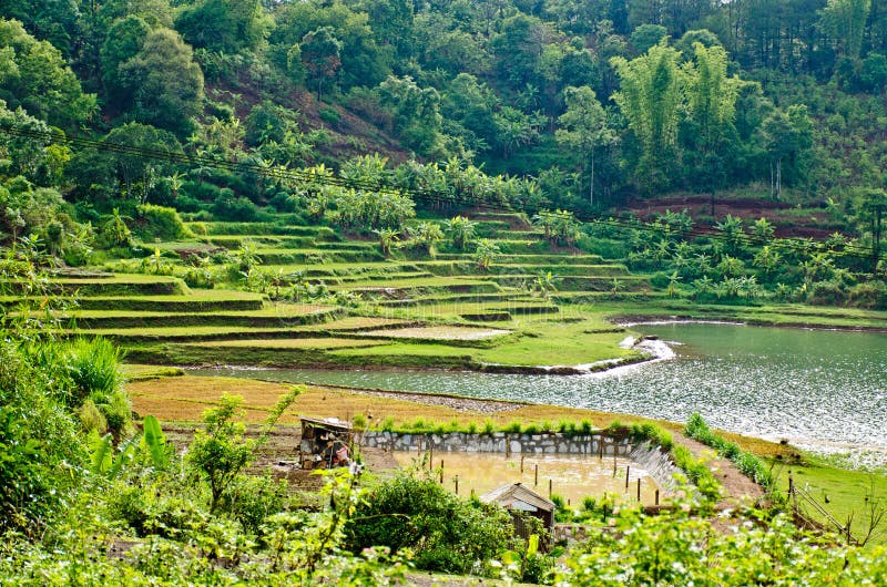 Lakeside scenery stock image. Image of sealake, village - 60290079