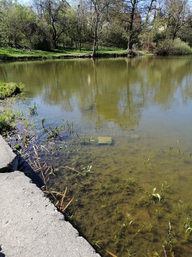 Lakeside spring and sun stock image. Image of lakeside - 179829367