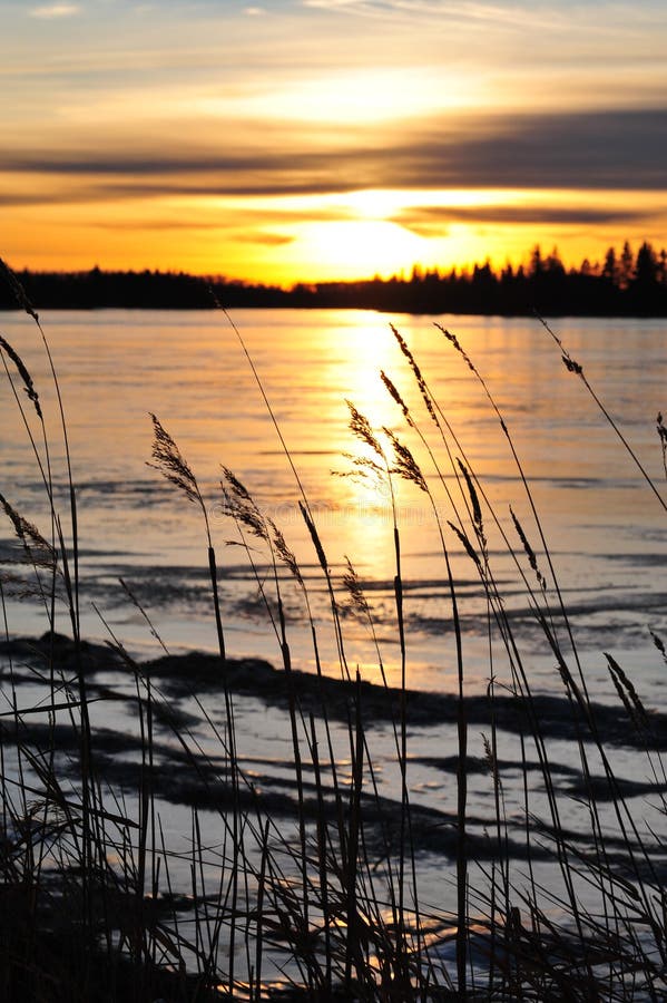 Lakeside sunset stock photo. Image of cold, golden, forest - 7341996