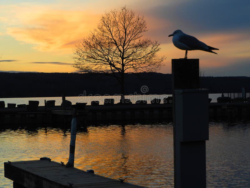 Lakeside Sunset Colors at Cayuga Lake Marina Stock Photo - Image of ...