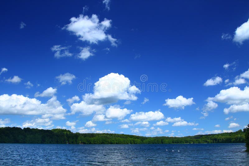 Lakeside with tree line stock image. Image of country - 5616609