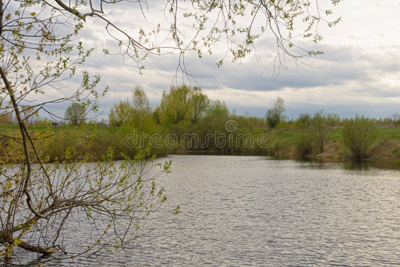 Lakeside with Vegetation on a Spring Day Stock Image - Image of view ...