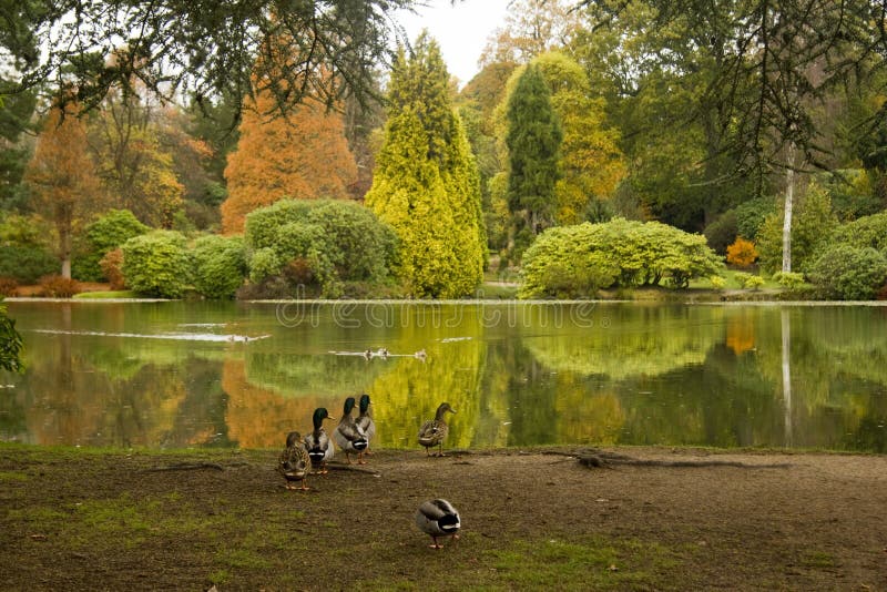 Lakeside view stock image. Image of reflection, fall - 27670627