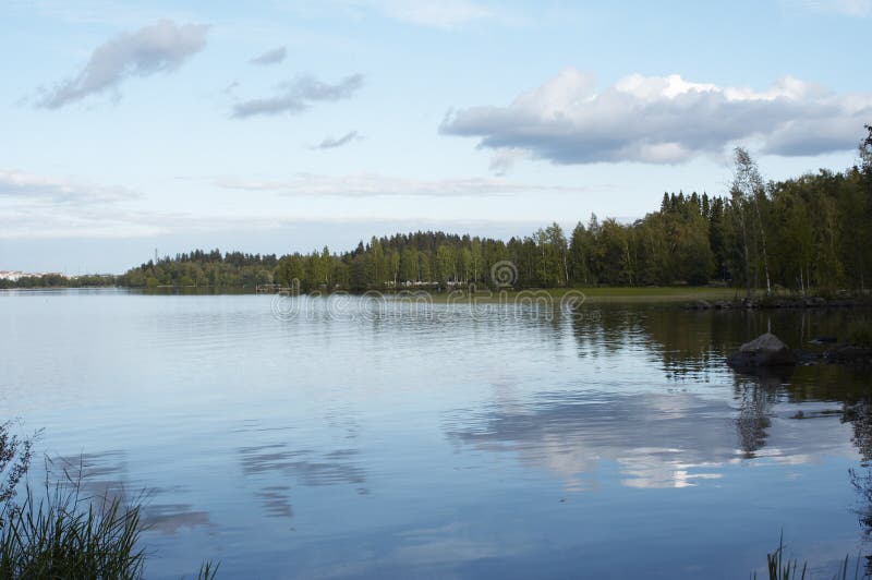 Lakeside stock image. Image of landscape, summer, willow - 231313