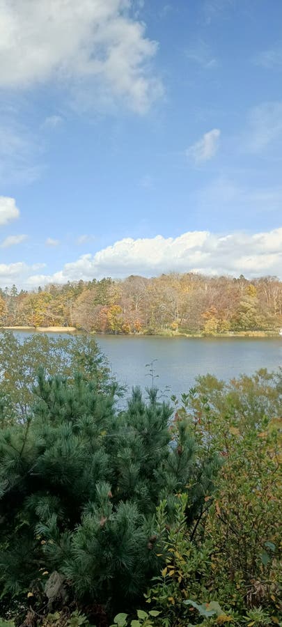 Lakeside View from Felice stock image. Image of waterway - 260917935