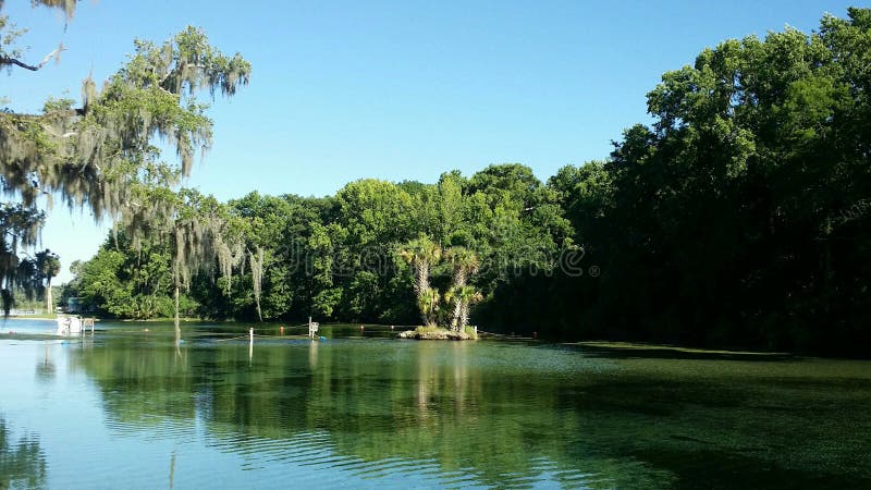 Lakeside view stock photo. Image of view, lake, nature - 110899560