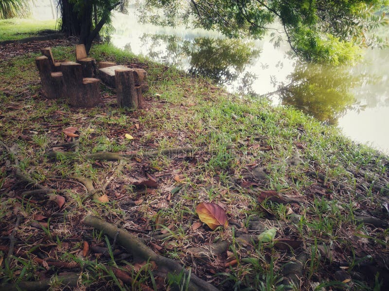 Lakeside View of Nature in the Evening Stock Image - Image of scenery ...