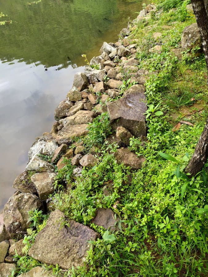 Lakeside Views, Rocks, and Grass Stock Photo - Image of views, green ...