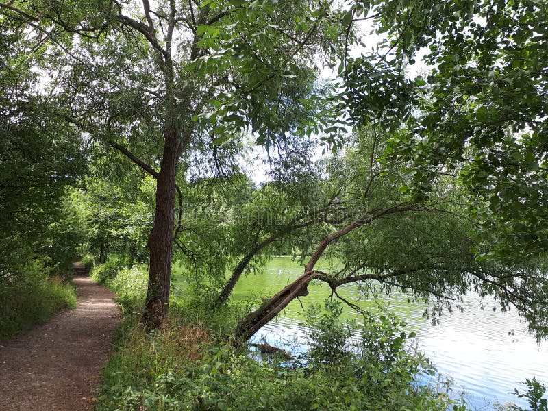 Lakeside Walk stock photo. Image of water, path, trees - 95800622