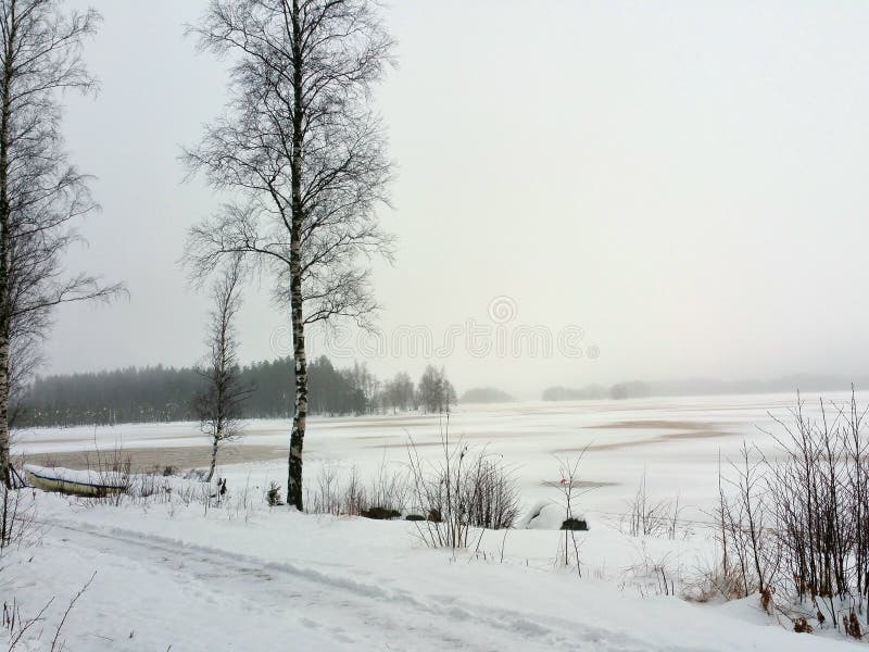 Lakeside in winter stock image. Image of snowy, tree - 92248887