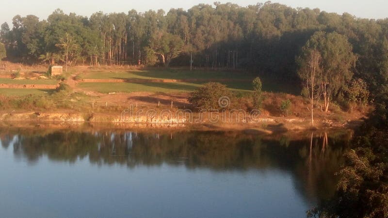 Lake view stock photo. Image of forest, view, lakeview - 170787162